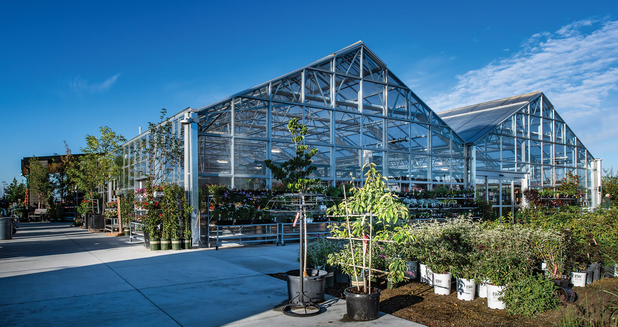 Franz Witte Nursery and Garden Center - CSHQA